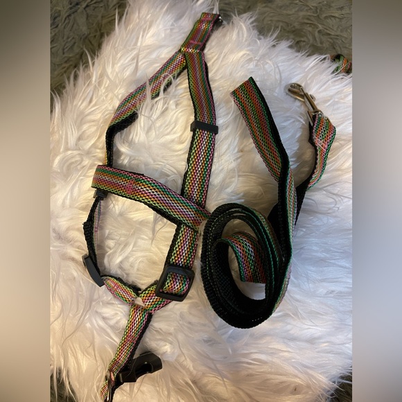 Dog | Doggie Harnessleash Bundle | Poshmark